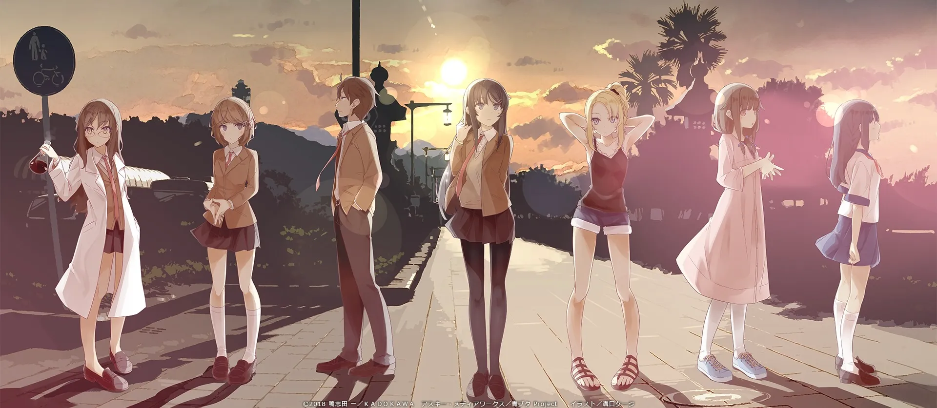 如何通过 bangumi 搜索轻小说，获取 bangumi 编号？ - Hikarinagi